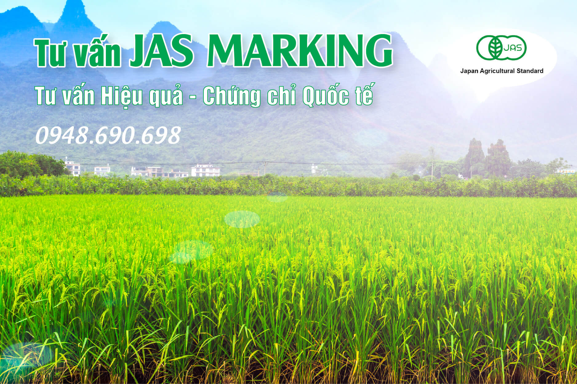 Phương pháp 6 Sigma và Công thức tính 6 Sigma